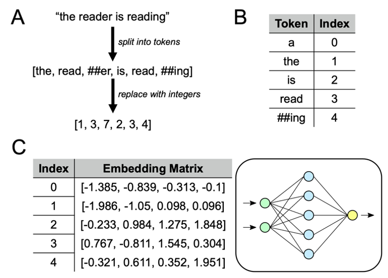Using Neural Network Language Instead Of Bert And Gpt Proofpoint Us 2066
